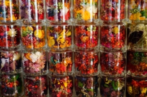 works_05 | gui ～flower design～